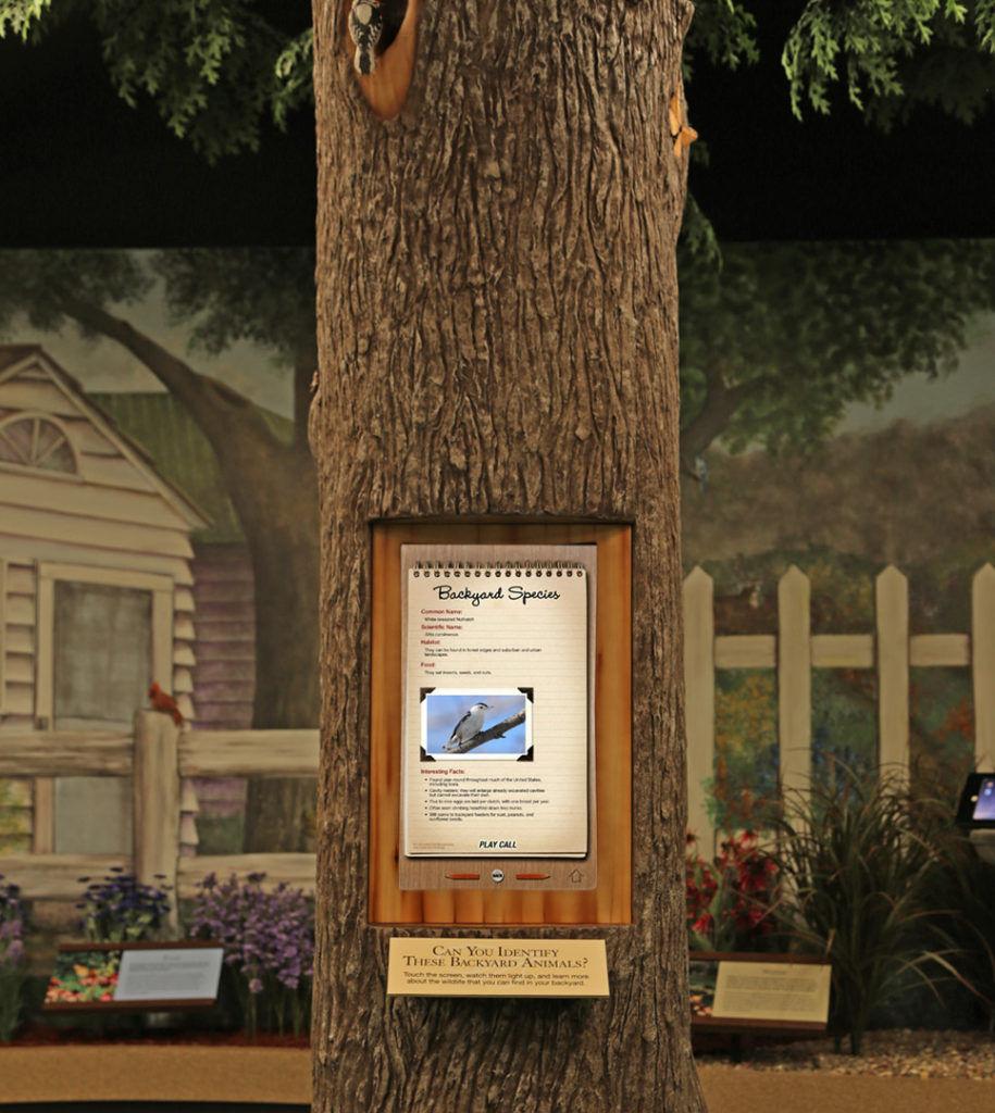 Nature Center Exhibit - McCullough Creative
