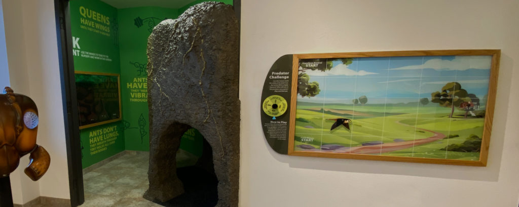 Nature Center Exhibit - McCullough Creative