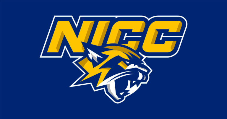 Refreshing the roar - McCullough Creative